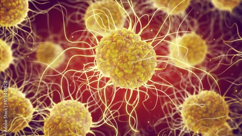 Video Stock Gonorrhea is a sexually transmitted disease caused by ...
