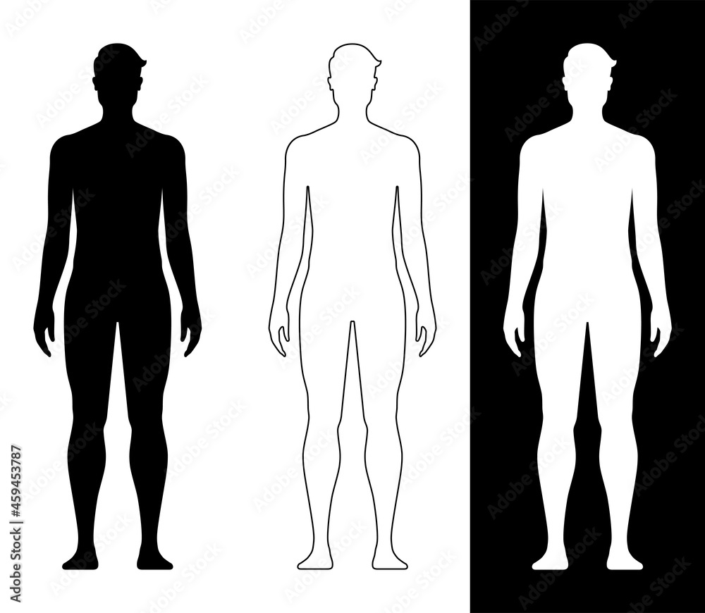 Man body vector illustration, silhouette, outline, and on the ...