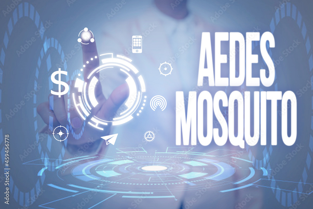 Hand writing sign Aedes Mosquito. Concept meaning the yellow fever ... Hand writing sign Aedes Mosquito. Concept meaning the yellow fever ...