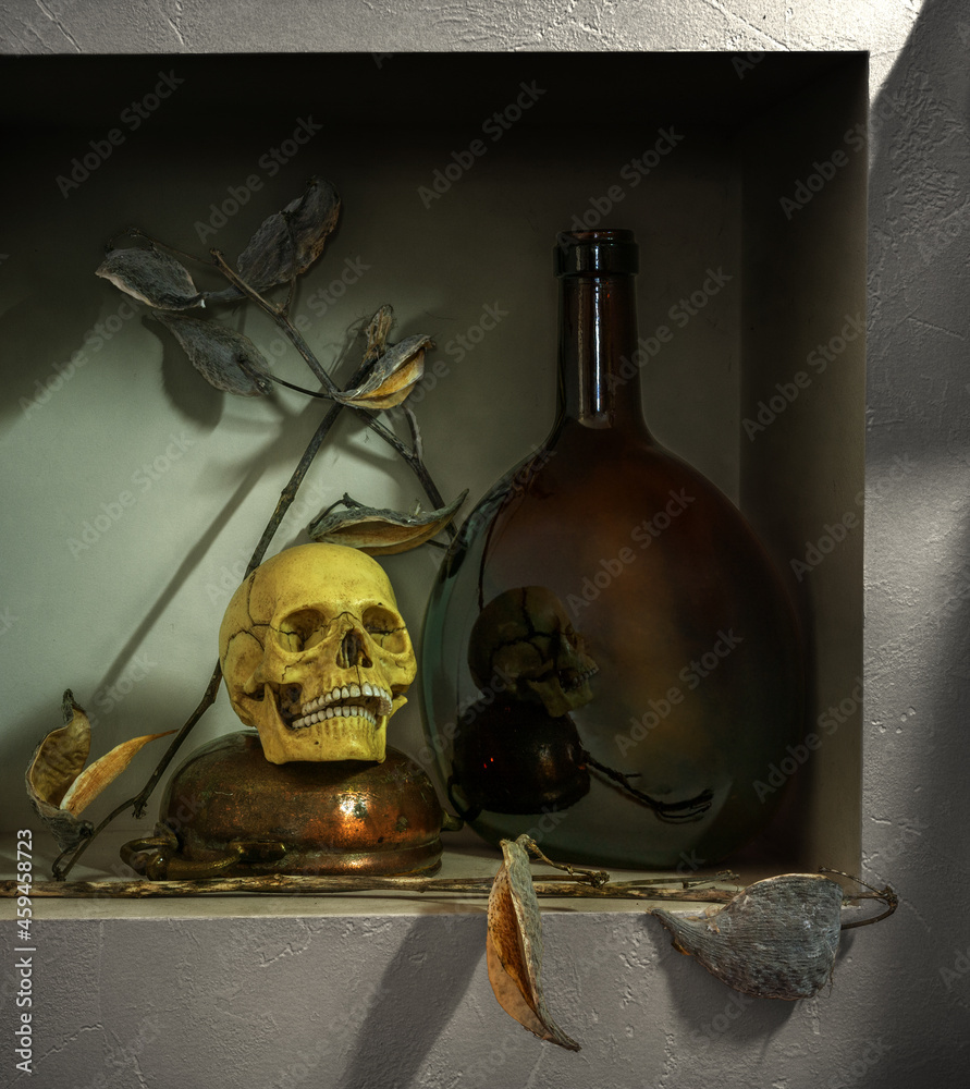 Still life with a skull on a copper bowl, withered plants and a large ...