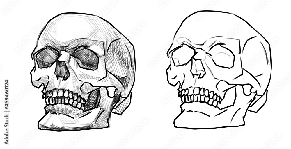 Sketch academic drawing skull digital art. human skillet isoletad on ...