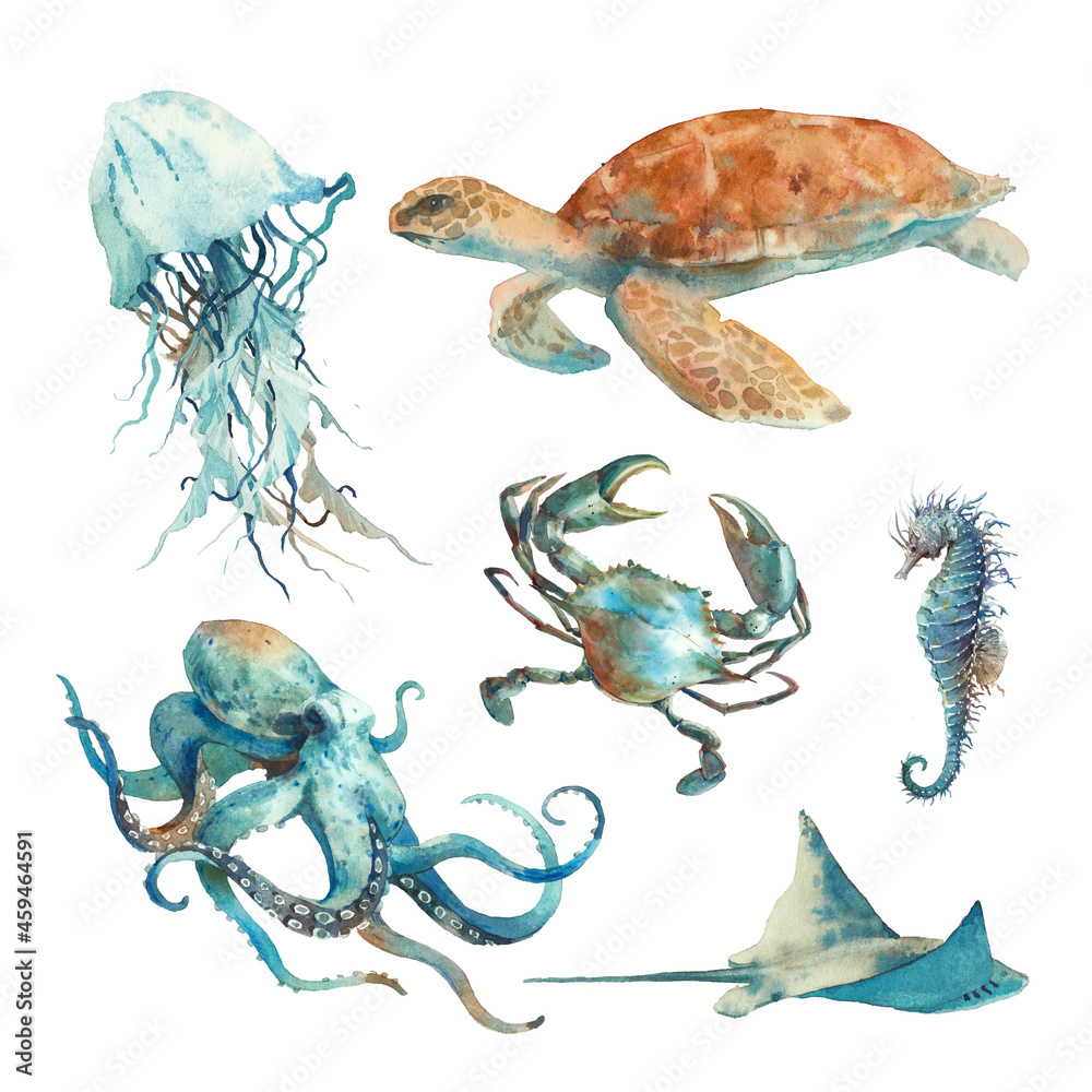Underwater sea animals. Watercolor set isolated on white background ...