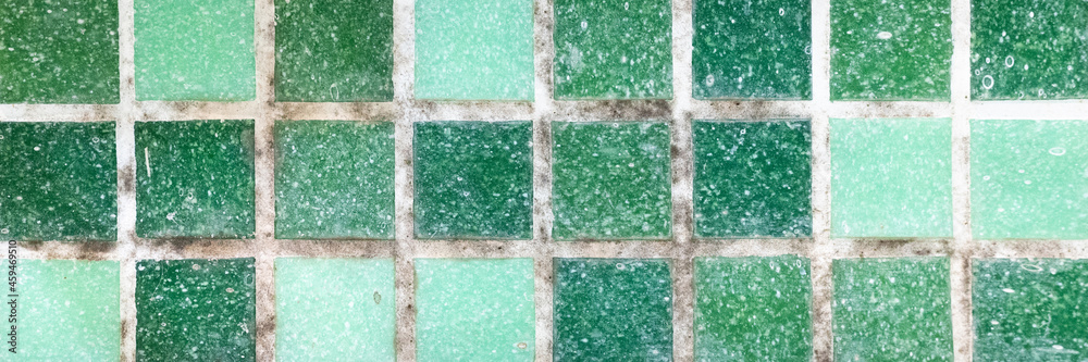 mold on joints between the ceramic tile in bathroom. old black toxic ...
