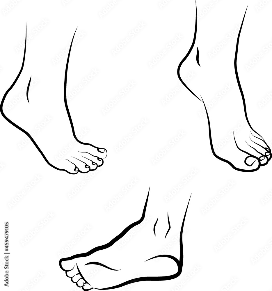 simple sketch of human feet Stock Vector | Adobe Stock
