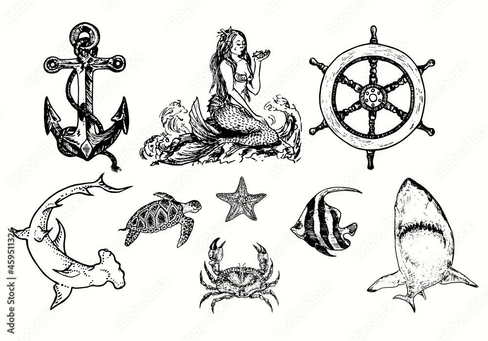 Marine collection, anchor, mermaid, Ship`s wheel , Hummerhead shark ...