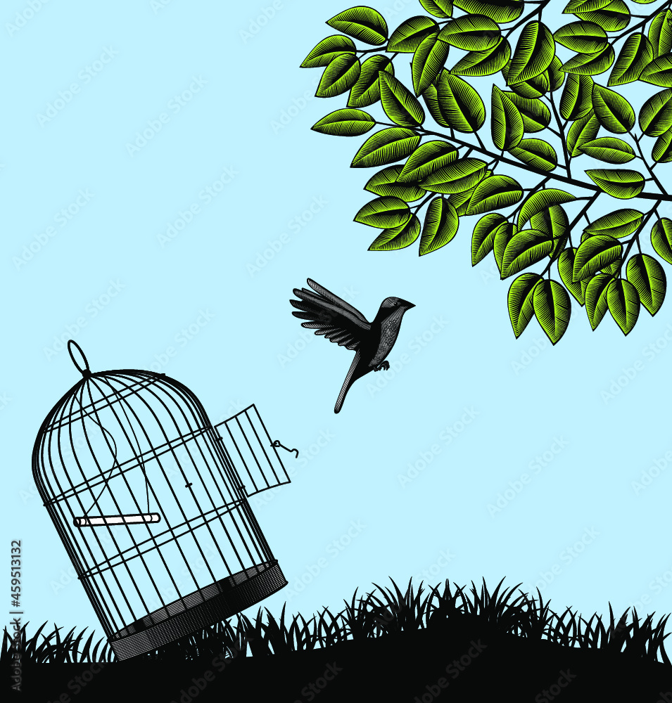 The bird flies out of the cage to freedom. Freedom theme. Ecology theme ...