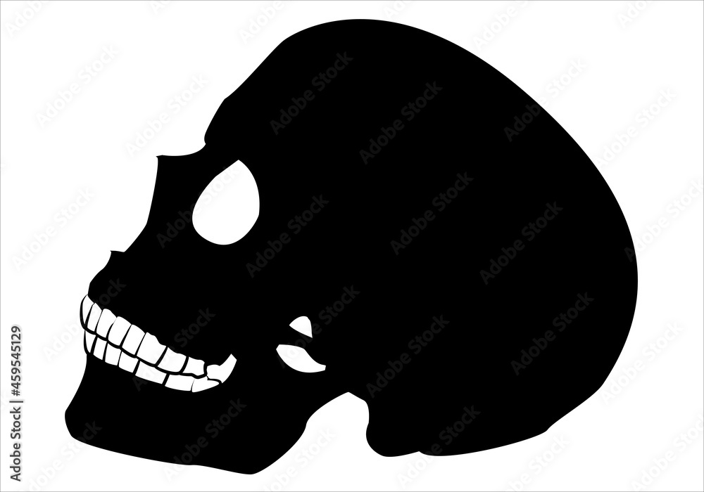 Icono negro de una calavera sobre fondo blanco Stock Vector | Adobe Stock