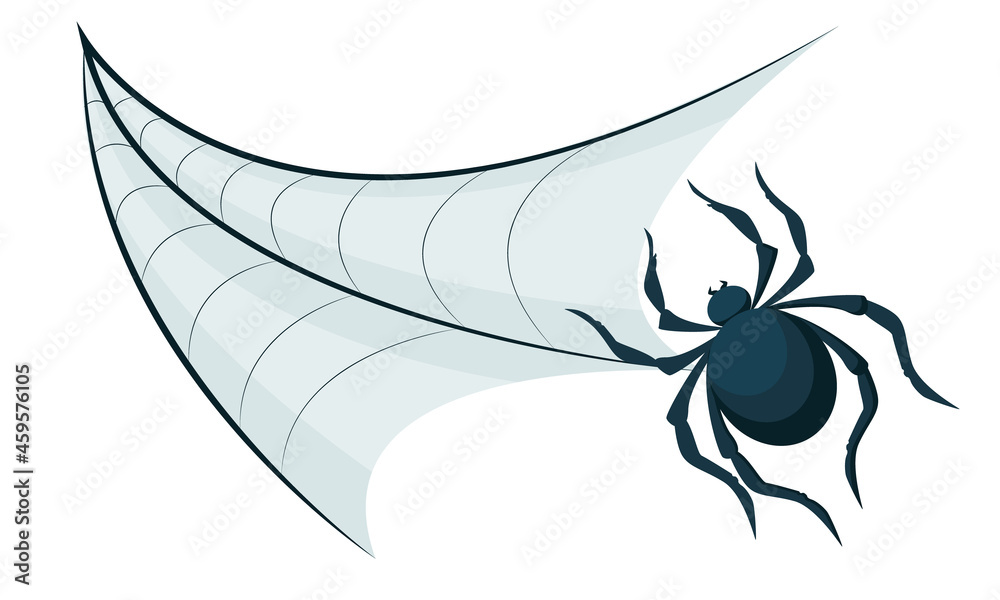 Vector drawing of cobweb and spider isolated on white background. A ...