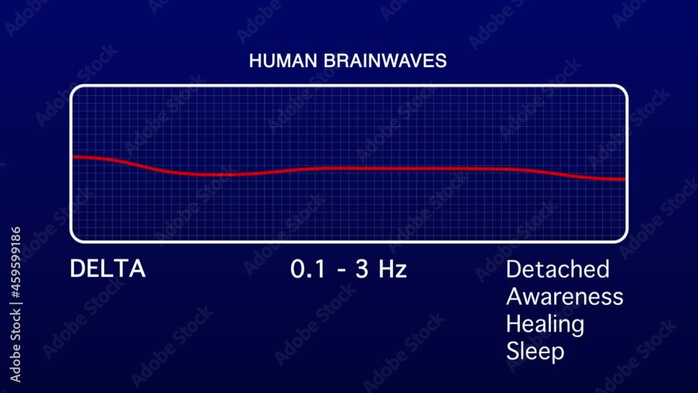 Delta Human Brain Waves Diagram Illustration Animation vídeo de Stock ...