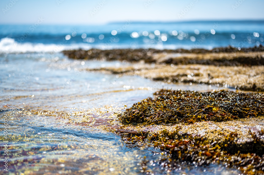 Tide refreshing pools at the oceanfront of Wonderland Trail Acadia ...