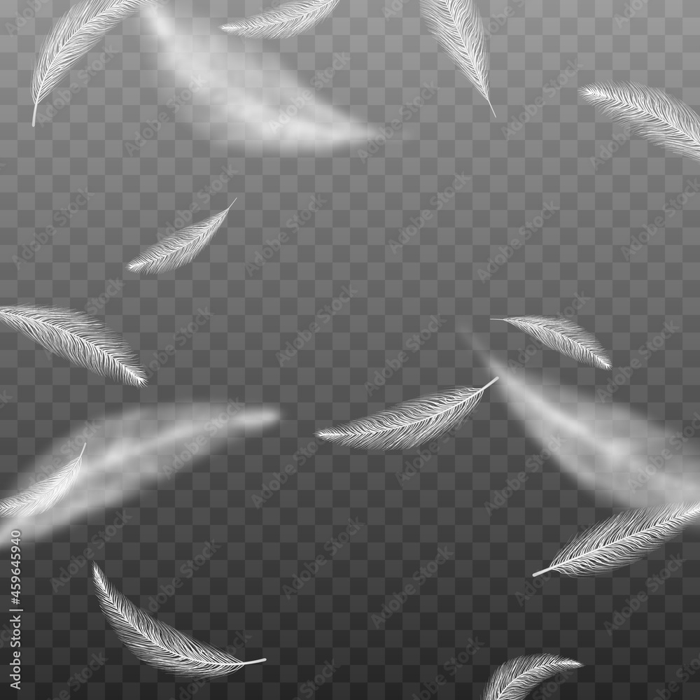 Vector feathers on an isolated transparent background. Falling feathers ...