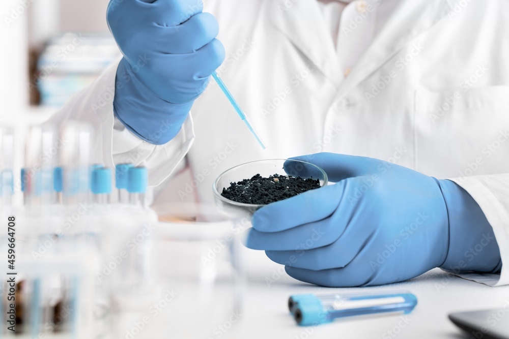 Scientist Works with Petri Dishes with Bacteria, Tissue and Blood ...