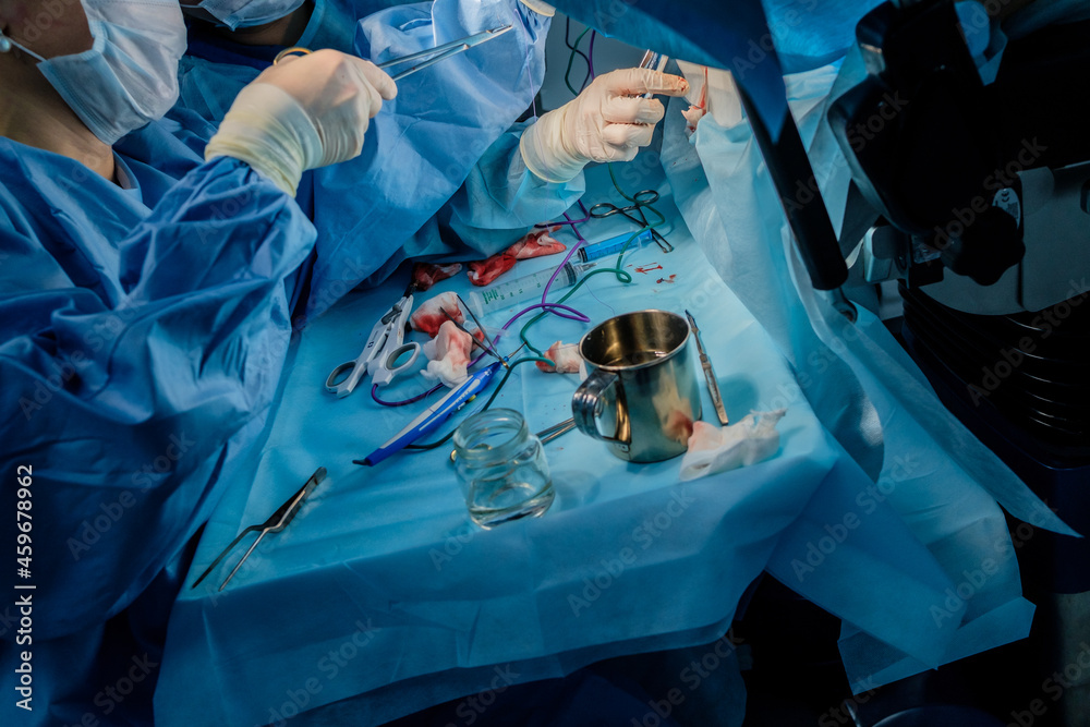 The bloody hands of surgeons in sterile latex gloves. Doctors operate ...