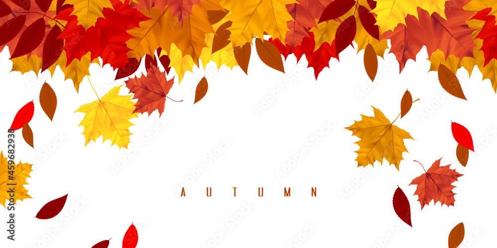 Autumn Leaves Banner