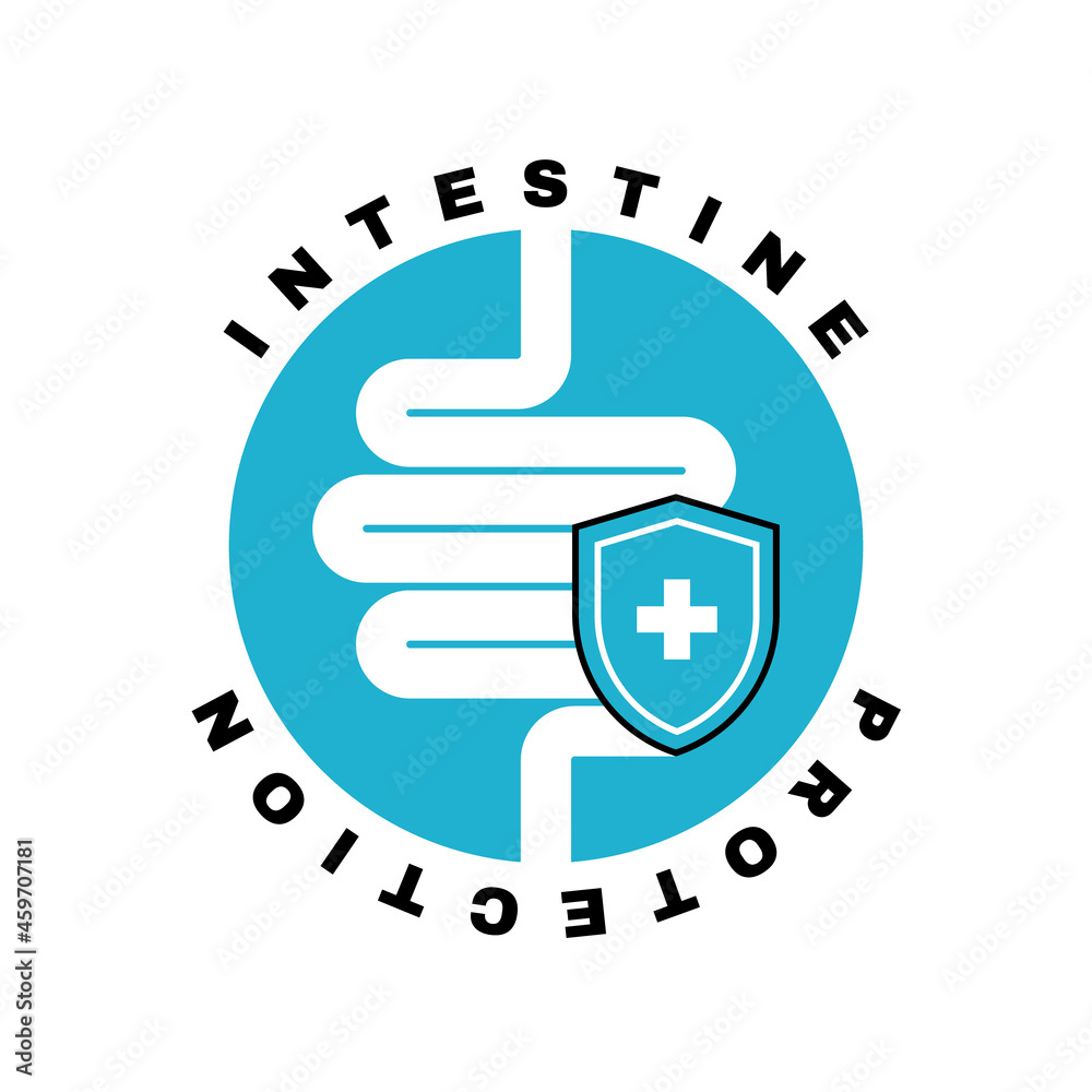 Healthy protected intestine, logo with protect shield. Digestive system ...