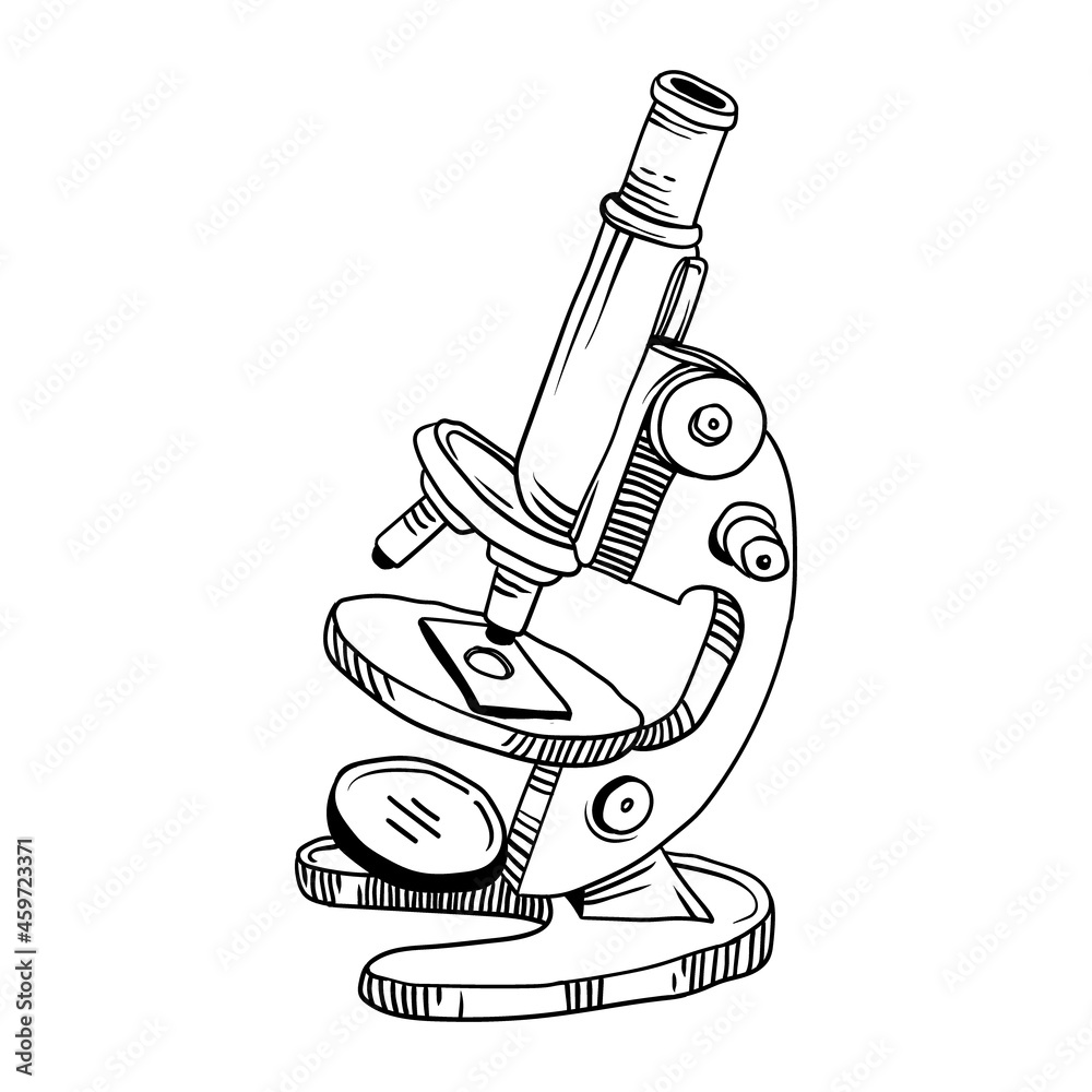 Hand drawn science vintage microscope sketch. Stock Vector | Adobe Stock