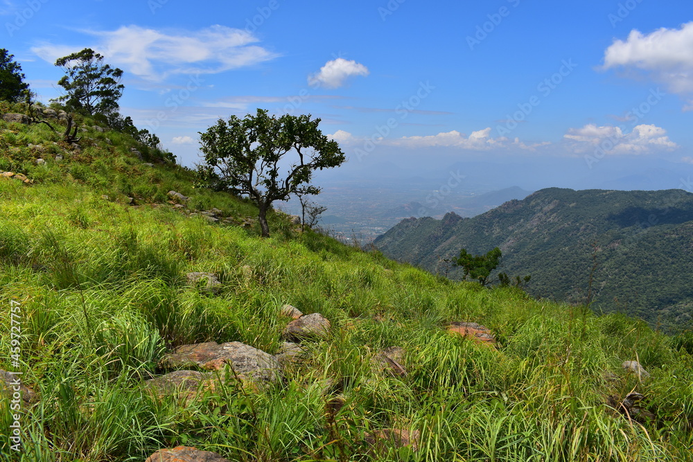 Sirumalai Peak, Vellimalai Sivan Temple Stock Photo | Adobe Stock