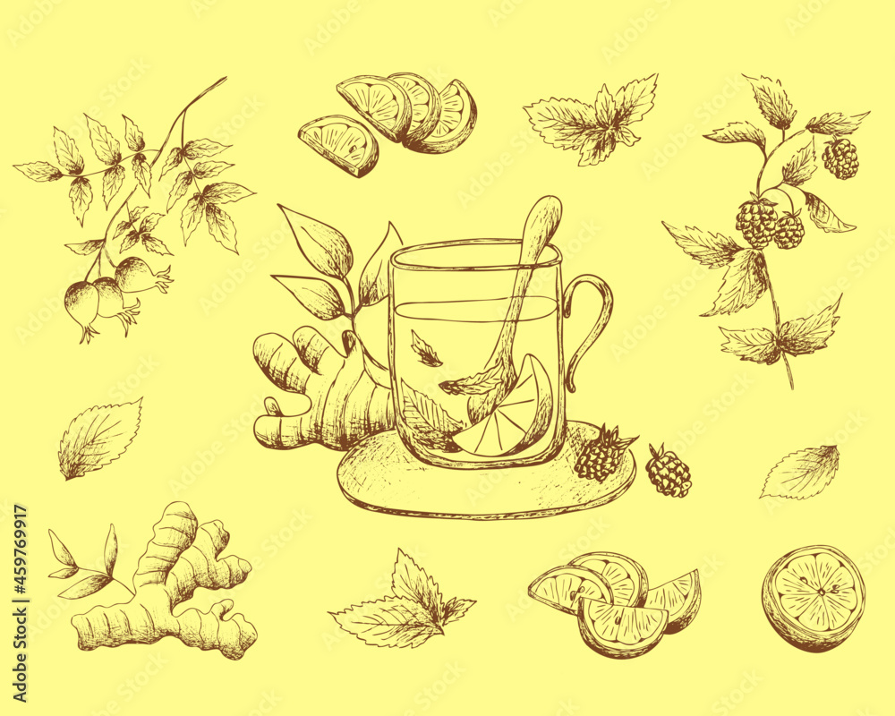 Vintage vector drawn set of immunity tea. Herbal tea mug, lemon, mint ...