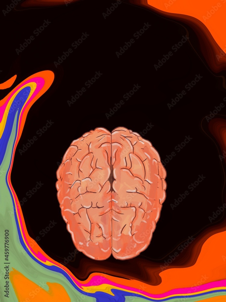Complex muscle Stock Illustration | Adobe Stock