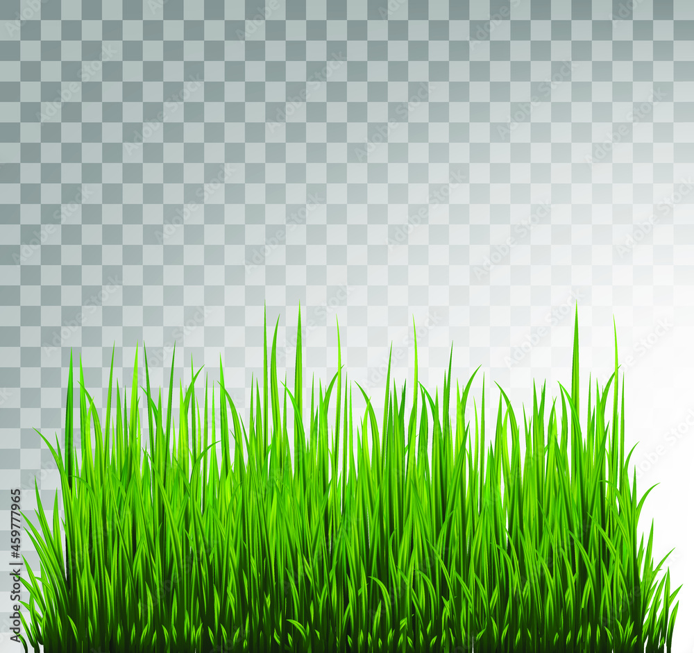 Green grass set. Fresh herb: natural, organic, bio, eco label and shape ...