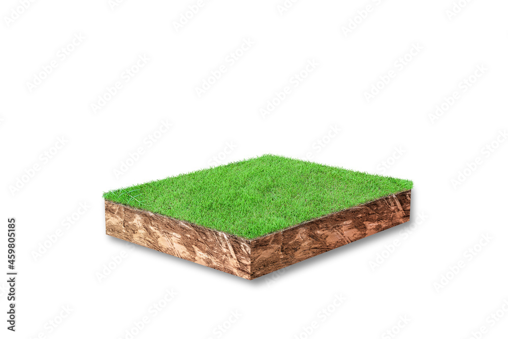 3D render. Soil cubical cross section with green grass isolated on ...