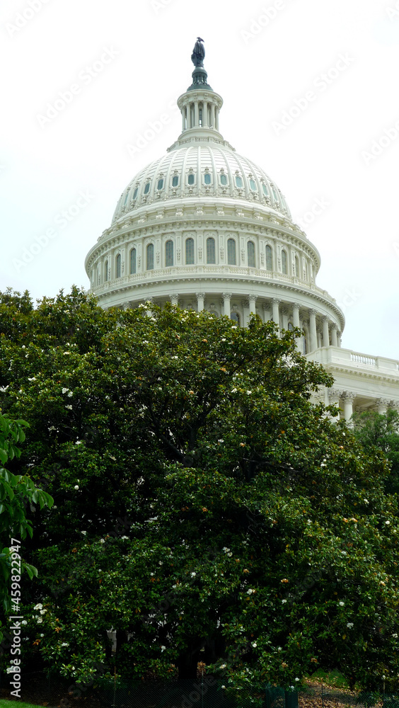 Impressive historic Capitol building with dome and columns in green ...