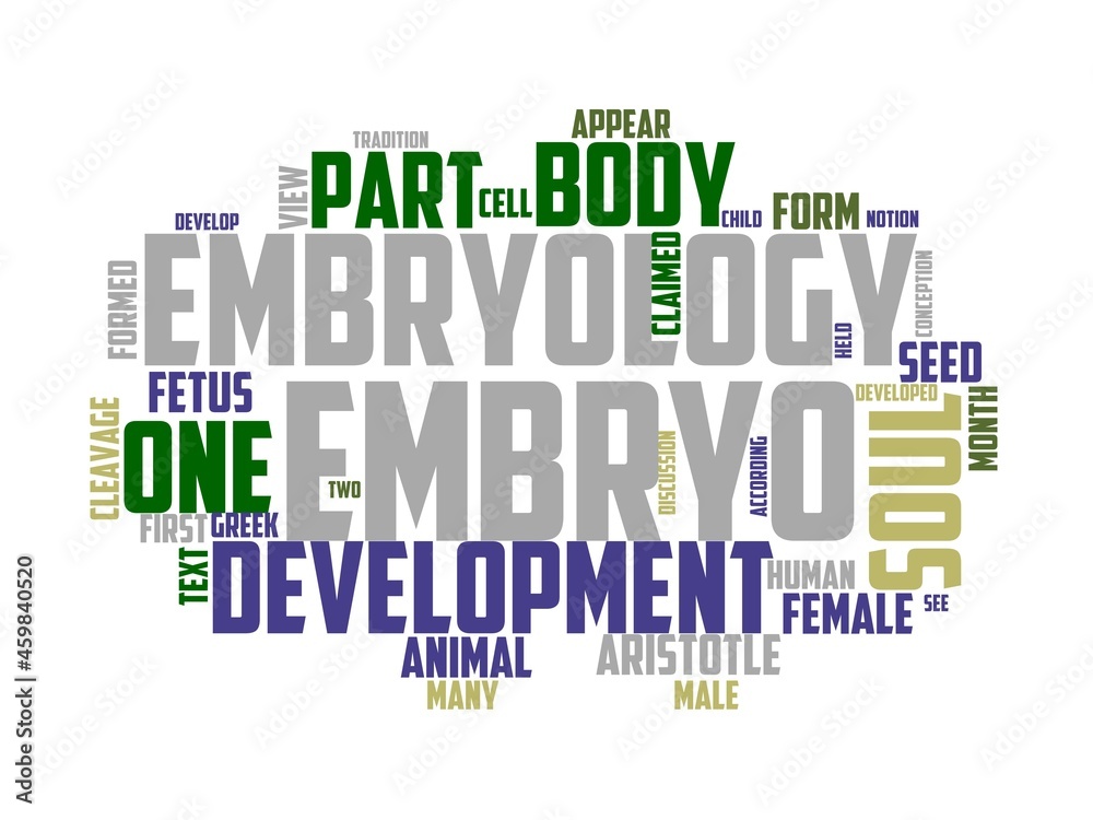 embryology wordcloud concept, wordart, embryology,reproduction,health ...