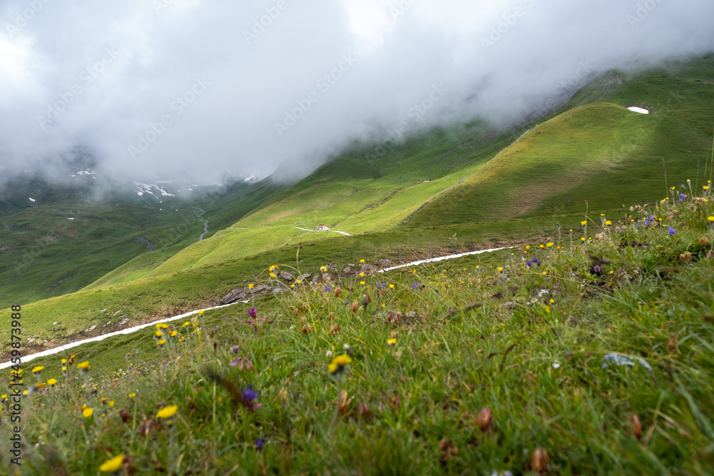 Grindelwald, Switzerland with parts of Mattenberg in the background ...