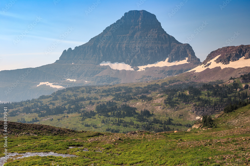 Hidden Lake Train Meadow Views, Logan Pass, Glacier National Park ...