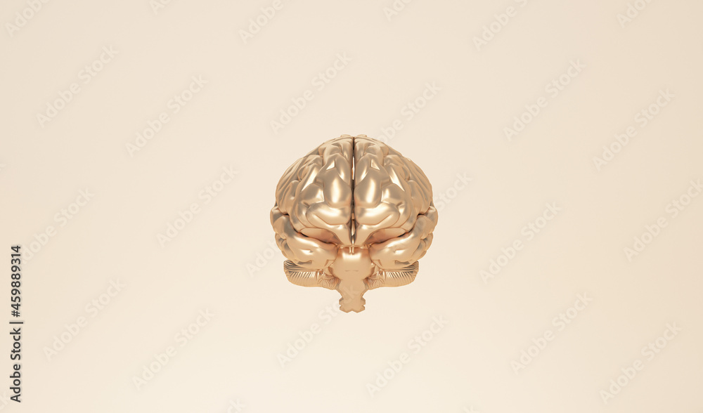 Minimal golden brain in front view on pastel background. Human brain ...
