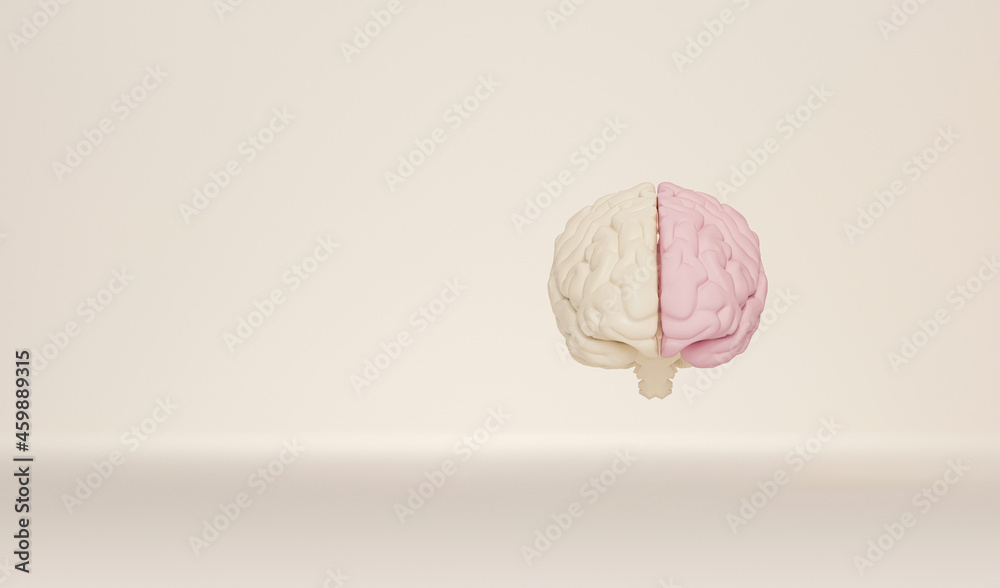 Minimal human brain left and right cerebral separate color isolated on ...