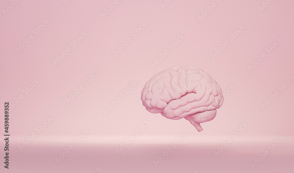 ภาพประกอบสต็อก Minimal brain in on pastel pink background. Human brain ...