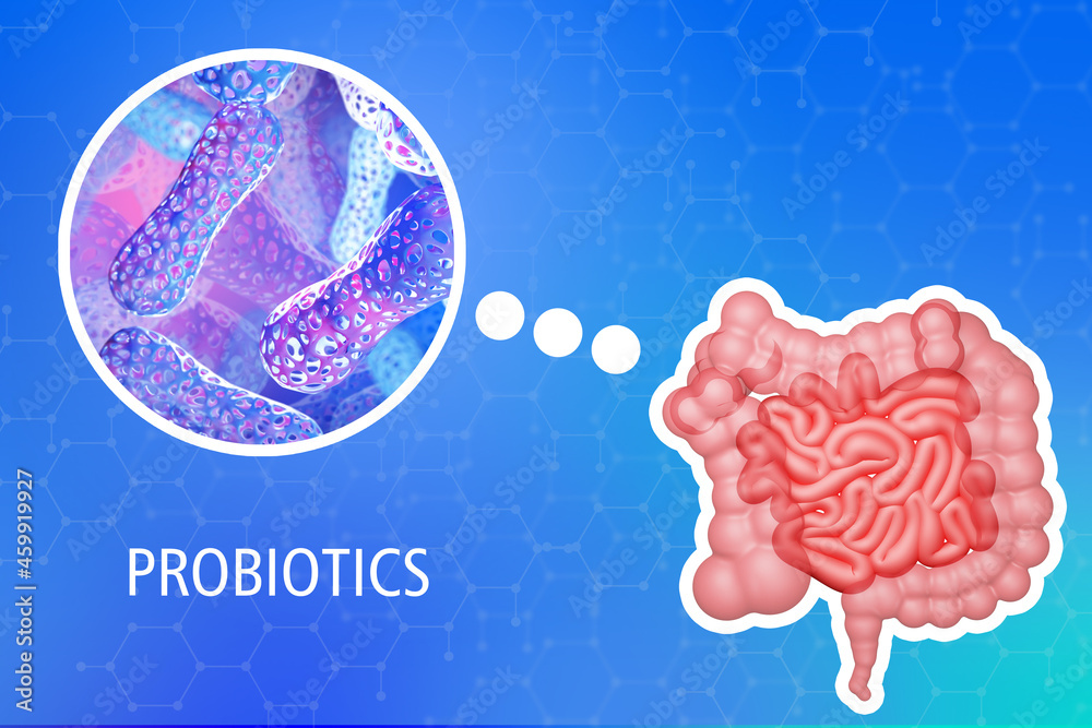 Probiotic bacteria. Microbiome next to gastrointestinal tract ...