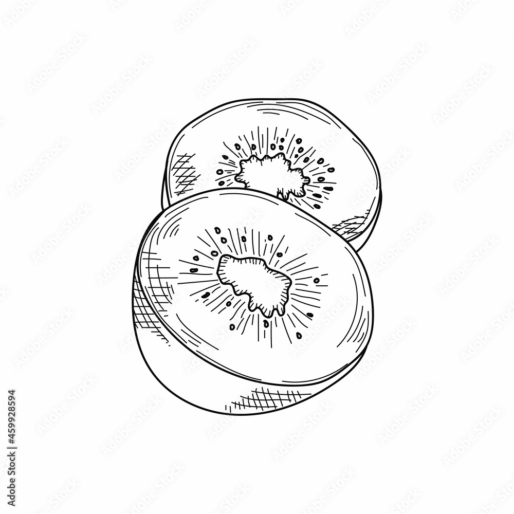 Drawing, engraving, ink, line art, vector illustration kiwi organic ...