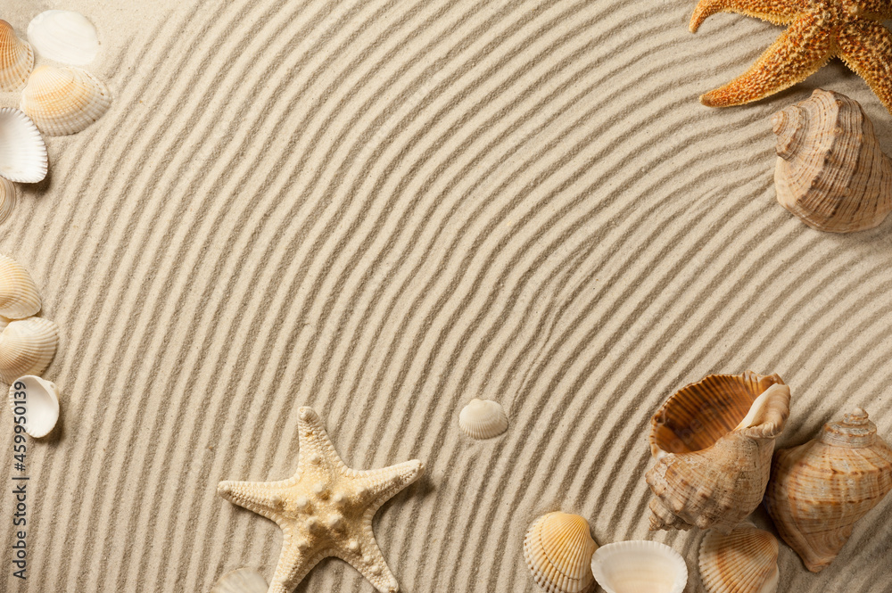 The composition of sea shells and starfish on a wavy textured surface ...