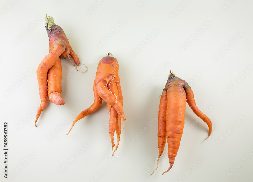Ugly carrots on a green background. An ugly concept of food. Stock ...