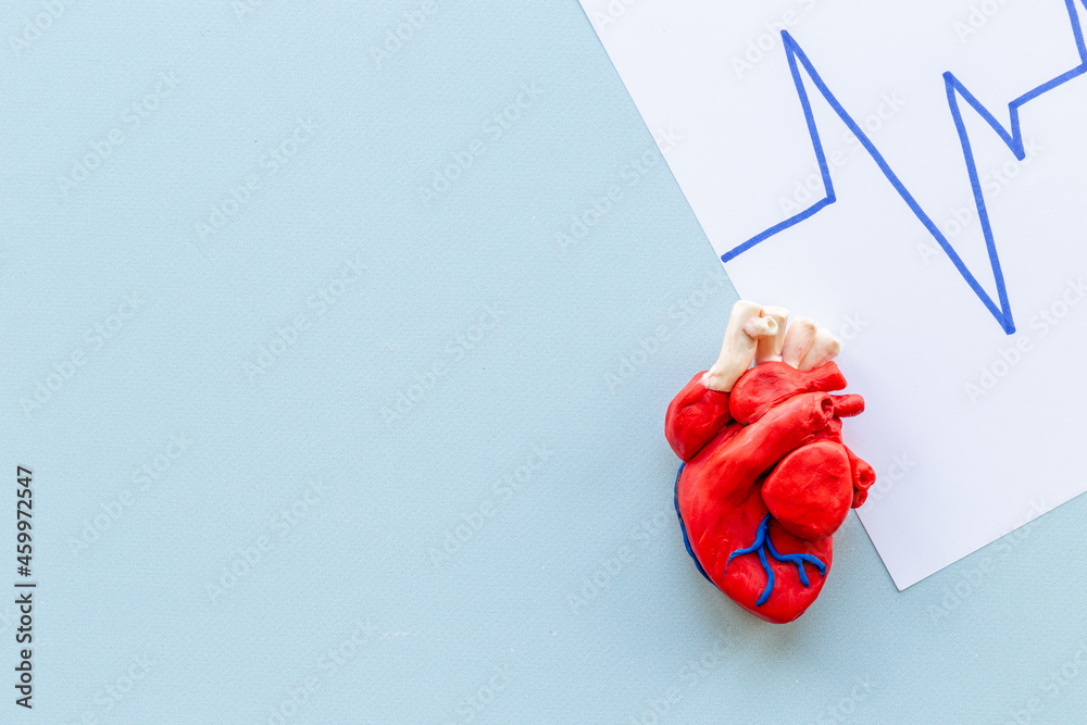 Heartbeat or heart rate with human heart model, top view Stock Photo ...