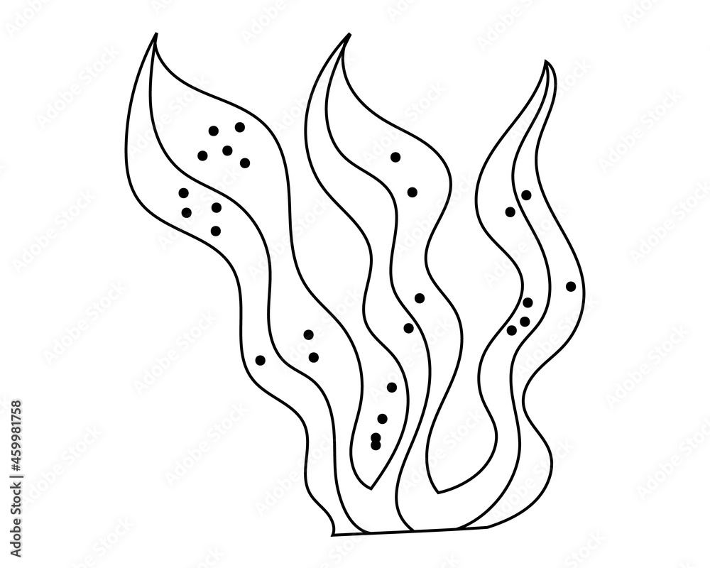 seaweed with a black outline. The vector illustration is hand-drawn ...