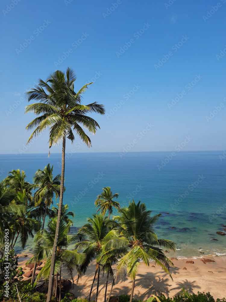 Blue water and palm trees beautiful goa beach, clean water beach in ...