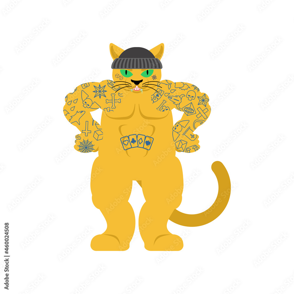 Cat Gangsta isolated. Angry pet bully member of gang of street ...