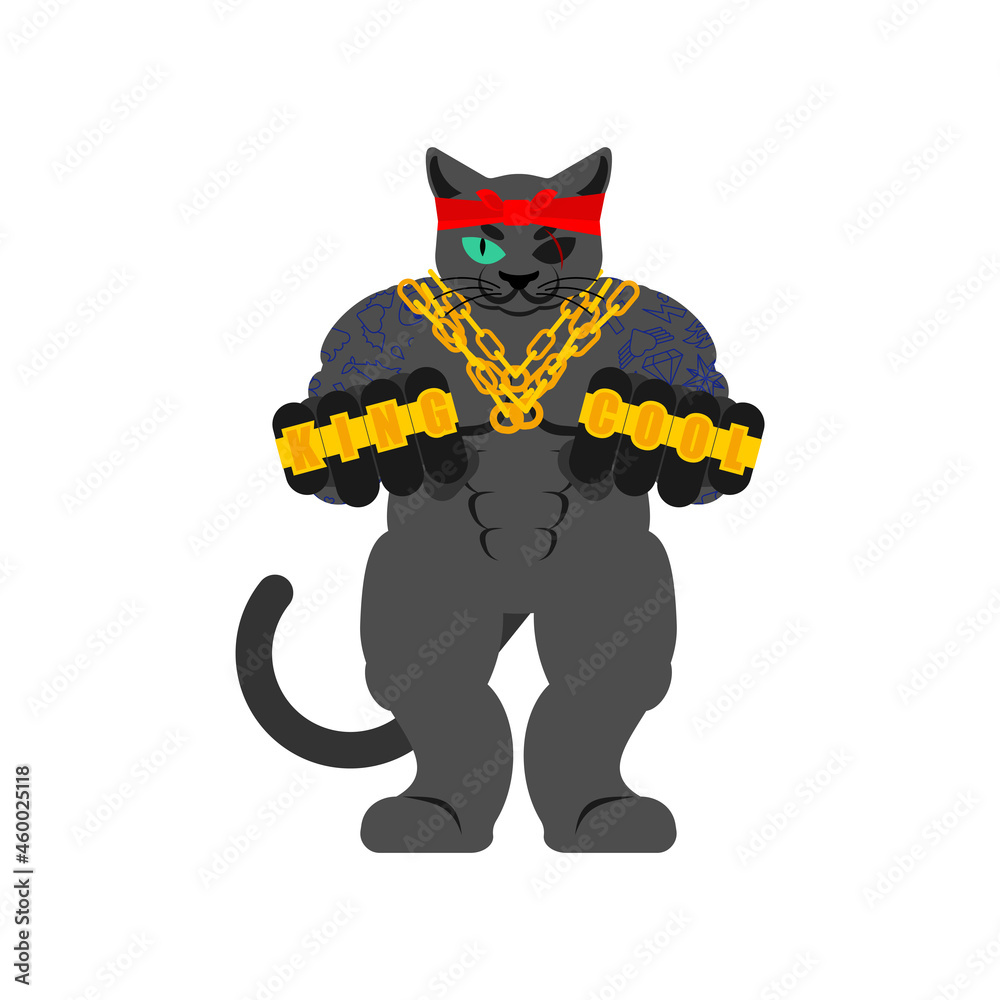 Cat Gangsta isolated. Angry pet bully member of gang of street ...