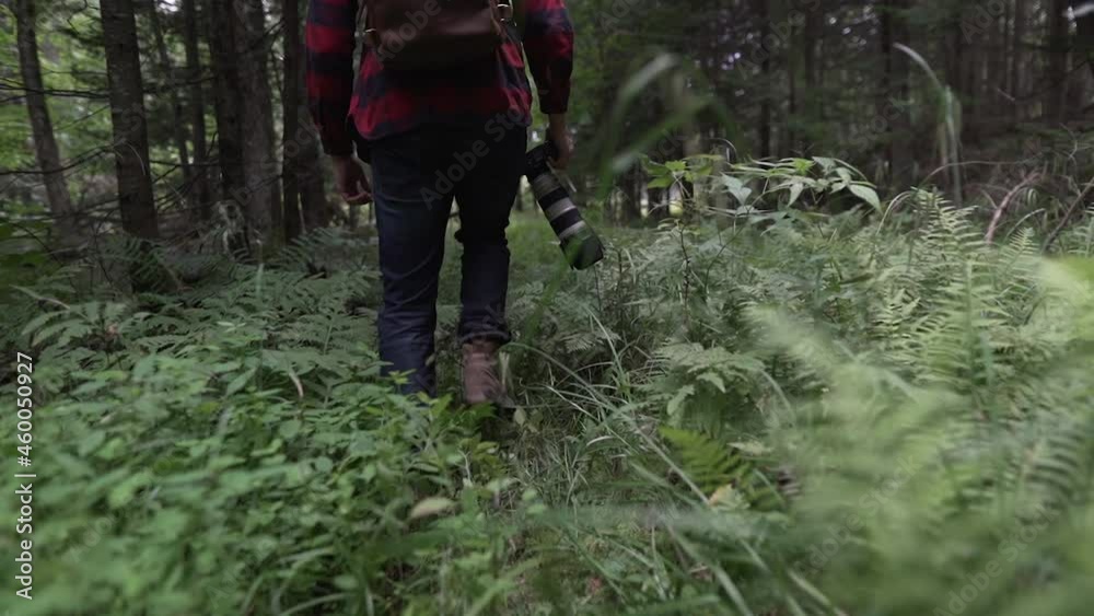 Vidéo Stock Low angle shot of man carrying camera in a forest ...