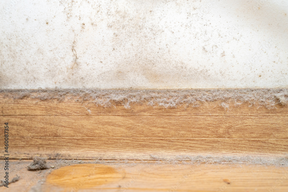 dust in the corner of the room. real old neglected dusty dirt, dirty ...