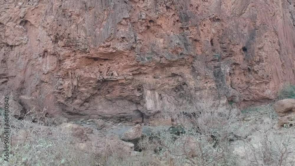 Camera rising up behind a group of tall trees with a cliff face of a ...
