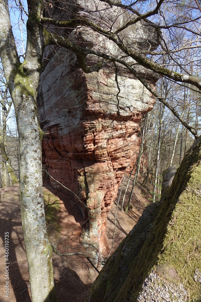 Massive red sandstone rock formation Altschloßfelsen near the German ...