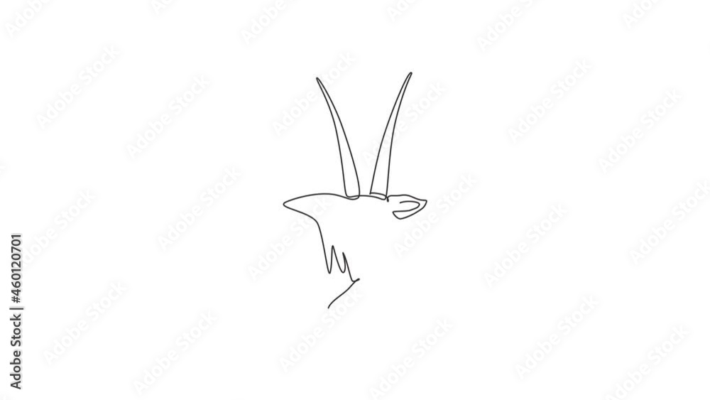 Animation of single one line drawing of gallant oryx head for company ...