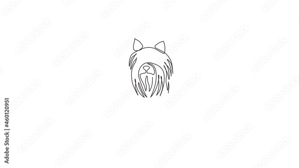 Animated self drawing of one continuous line draw cute yorkshire ...