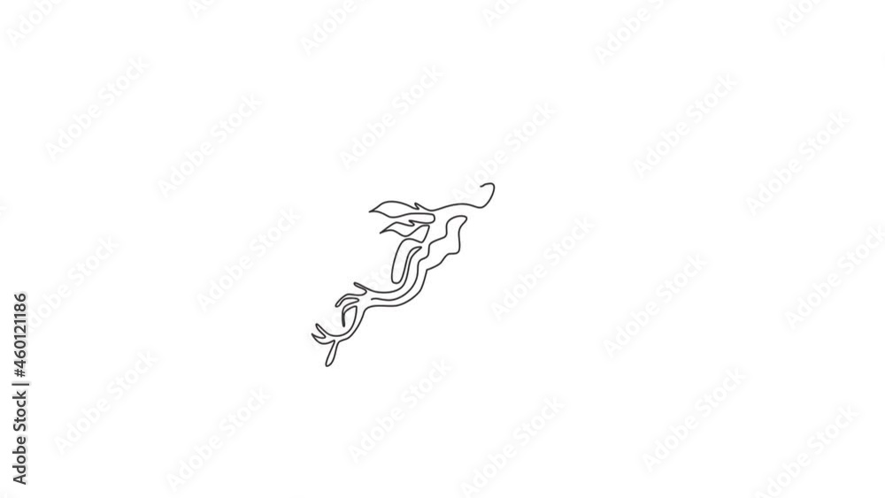 Animation of one single line drawing of beautiful leafy seadragon for ...