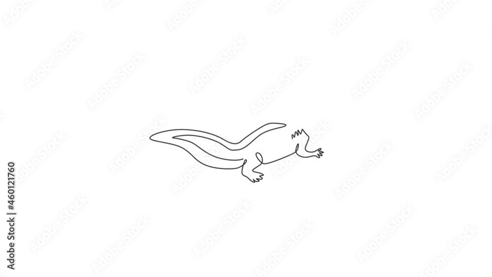 Animation of one single line drawing of adorable axolotl for company ...