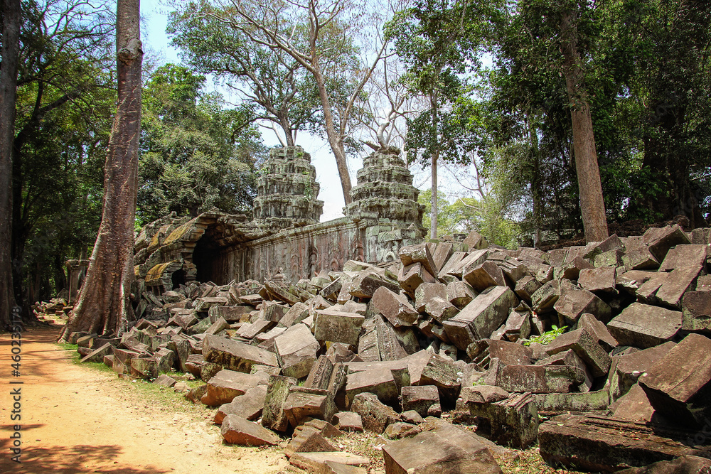 Cambodia Ta Prohm famous jungle giant tree roots embracing temples ...